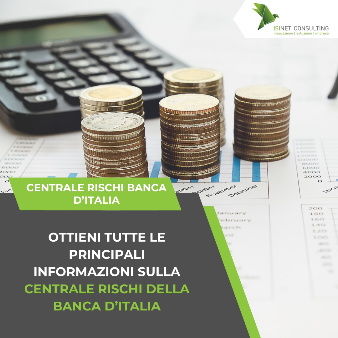 Centrale dei Rischi della Banca d'Italia - Isinet Consulting
